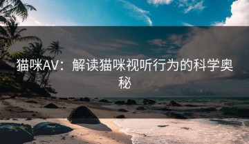 TXVlog - 糖心vlog